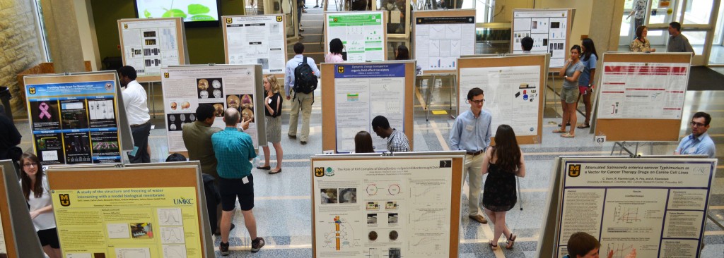 How to Design a Research Poster // Undergraduate Research