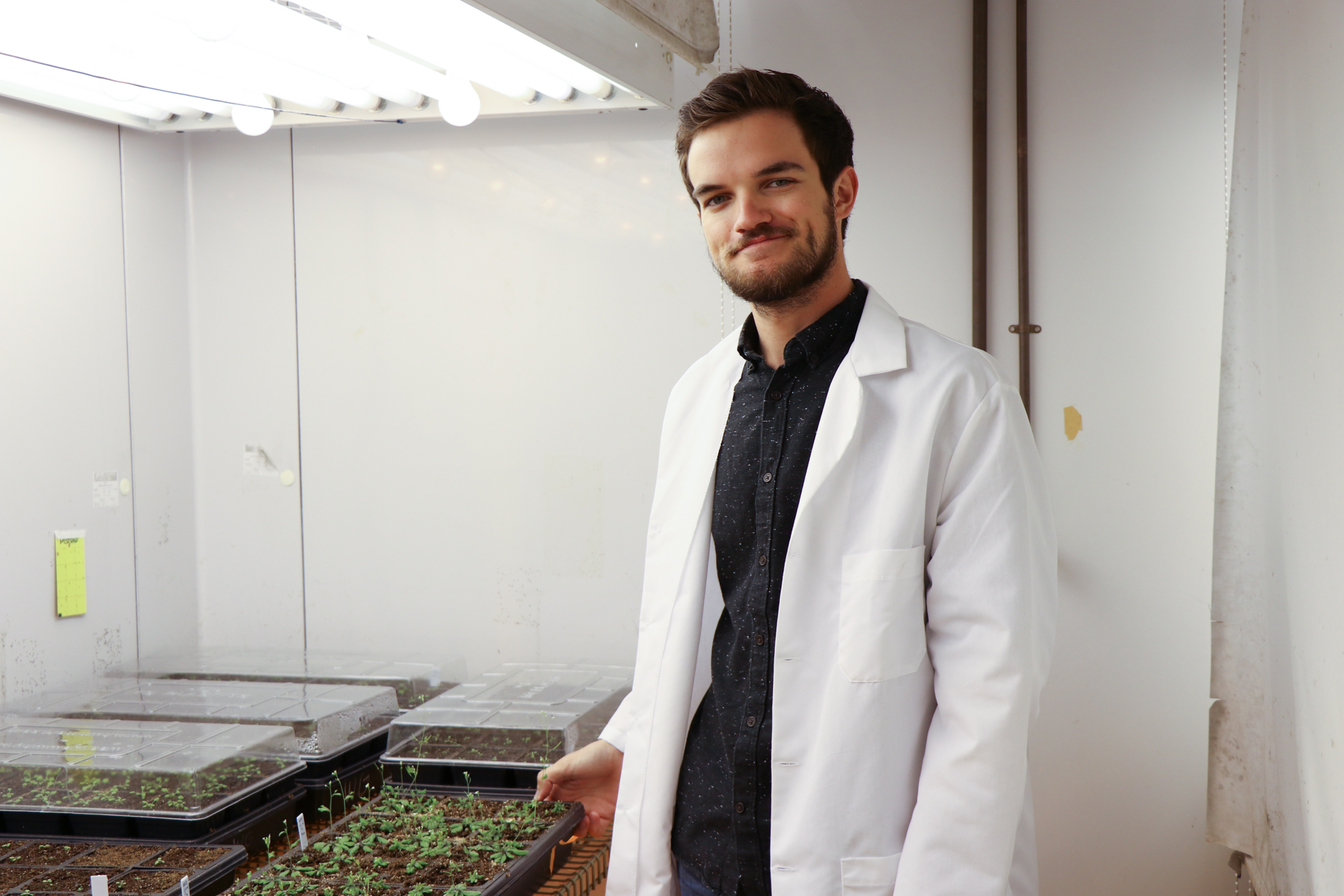 Planting a Seed // Undergraduate Research
