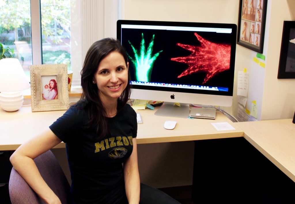 Researching limb regeneration // Undergraduate Research