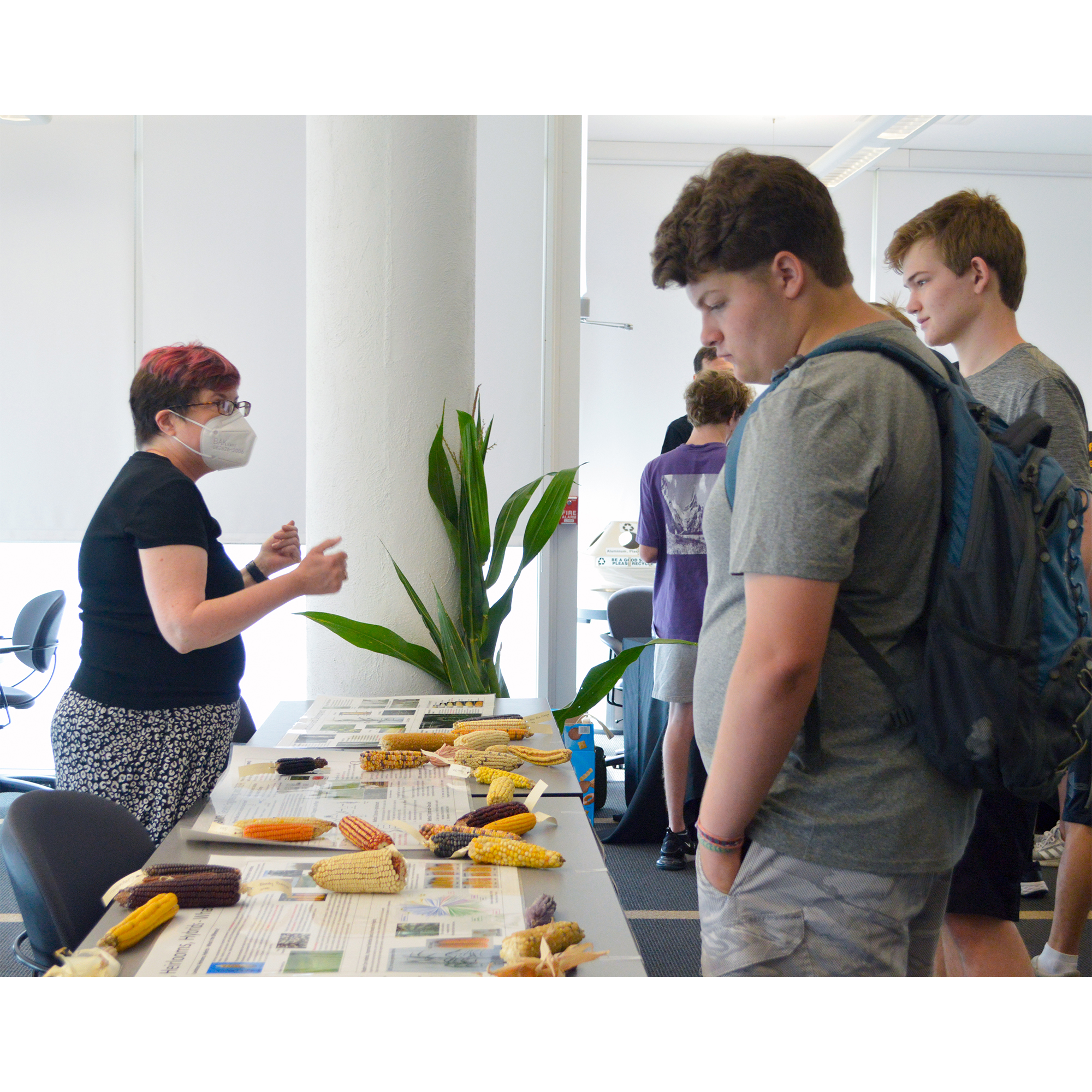 Undergraduate Research Fair // Undergraduate Research