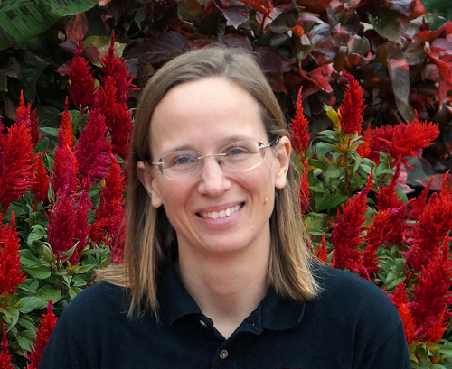 Sarah Humfeld // Undergraduate Research