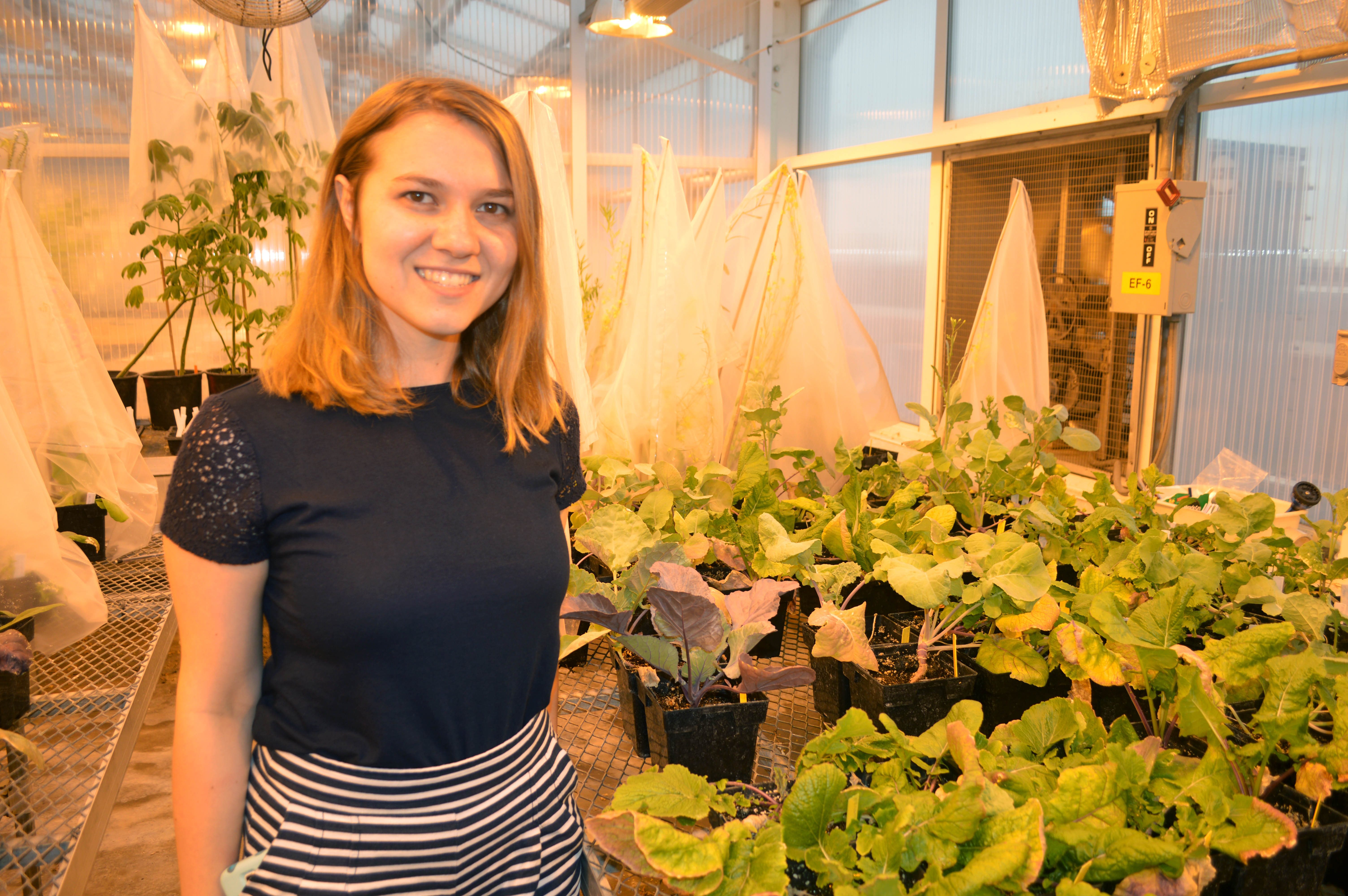 Biochemistry major spends summer at Stanford researching plant defense ...